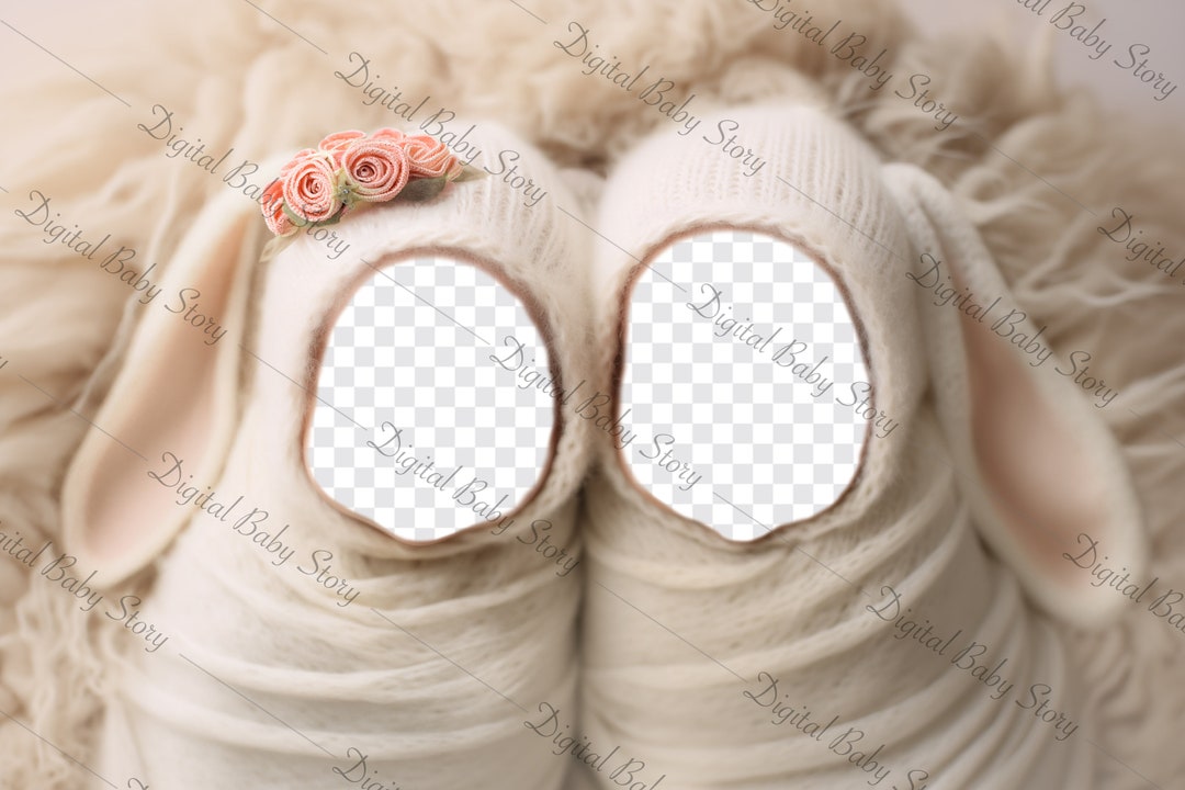 Bunny Digital Backdrop for Newborn Twins, Face Insert, Twin Children ...