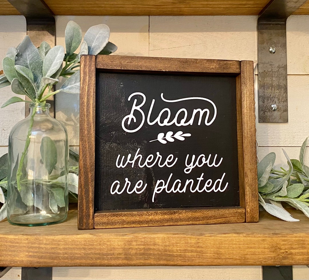 Bloom Where You Are Planted Sign, Framed Wooden Spring Sign, Spring ...