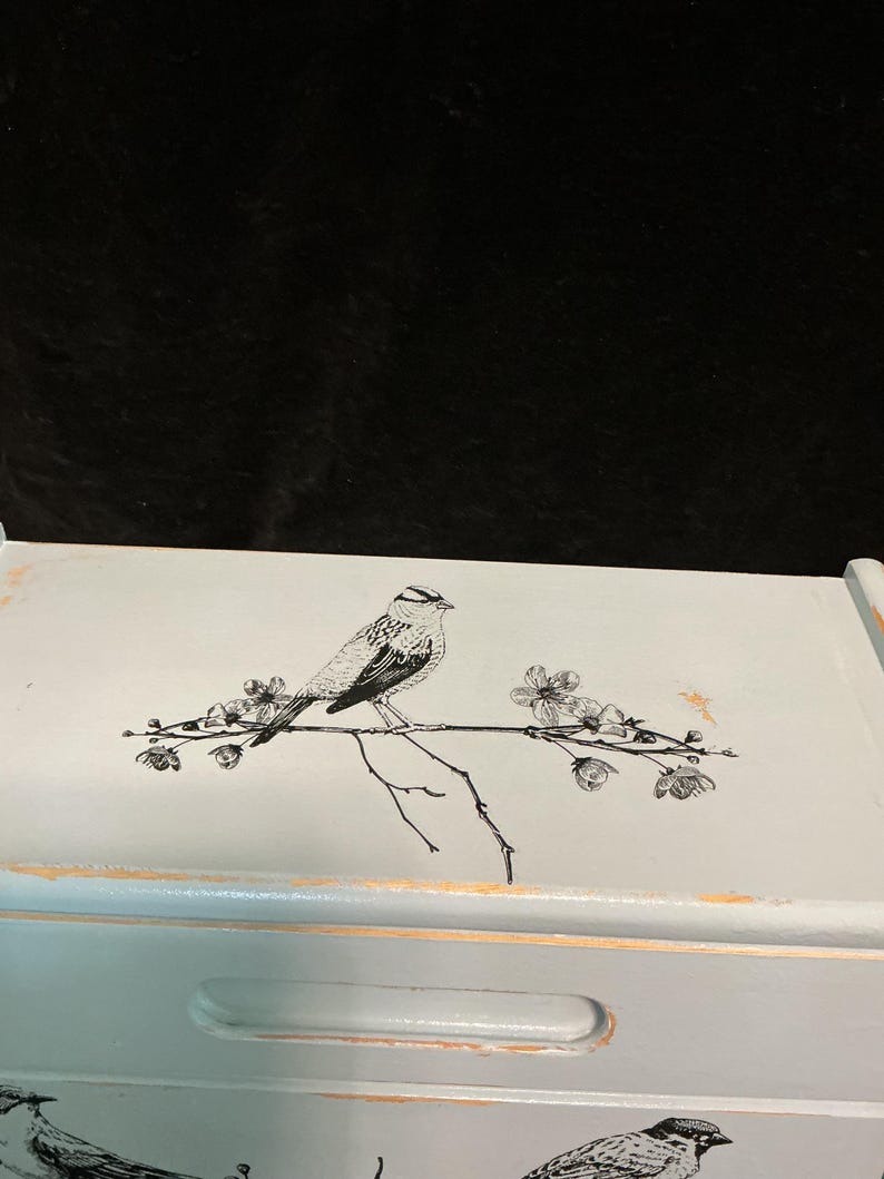 Shabby Chic Pale Teal Bread Box With Bird Appliqué | Hand Painted ...