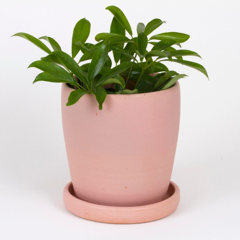 Pink Ceramic Planter - Etsy