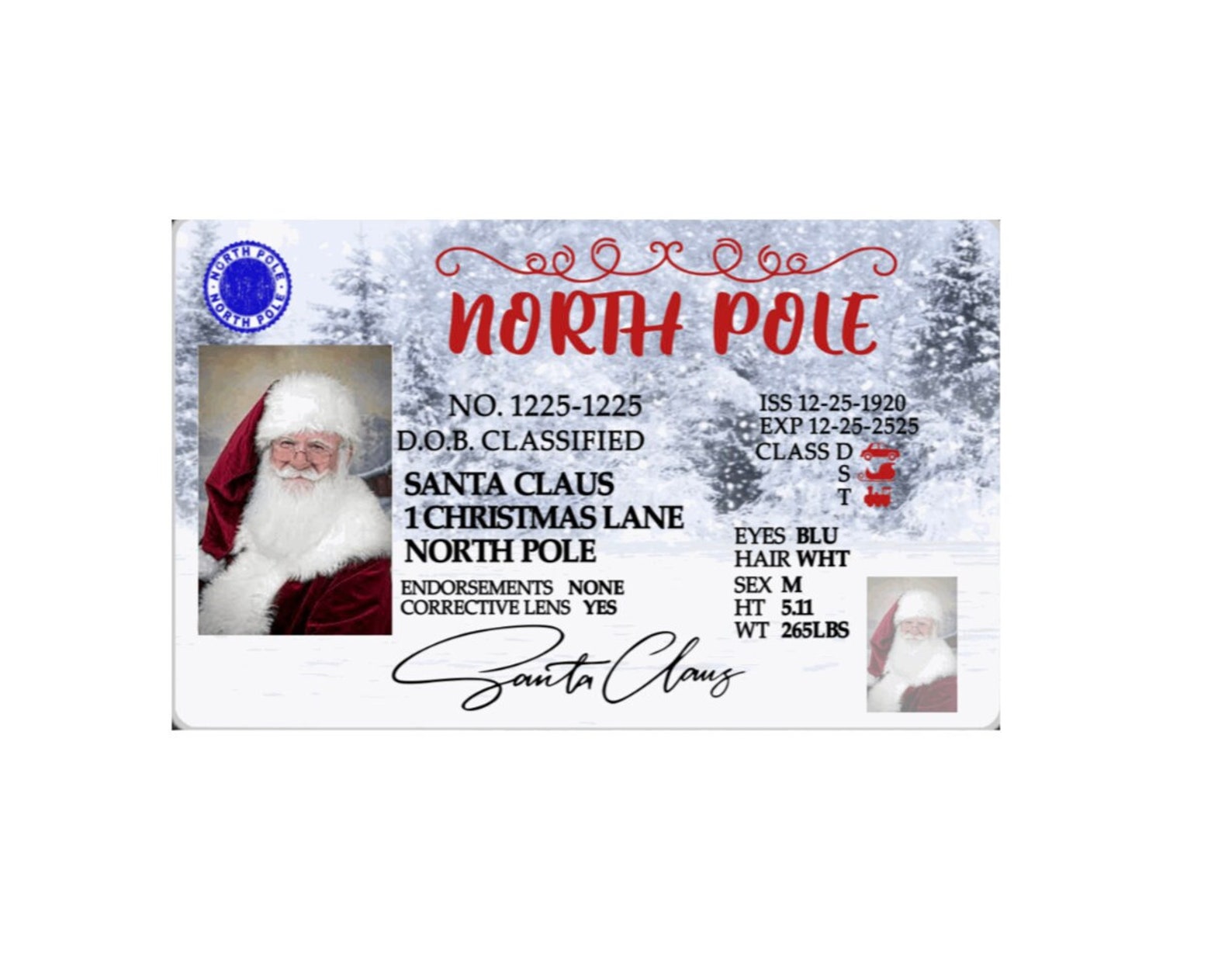 Santa ID / Santa Travel Card / Christmas Surprise for Kids - Etsy