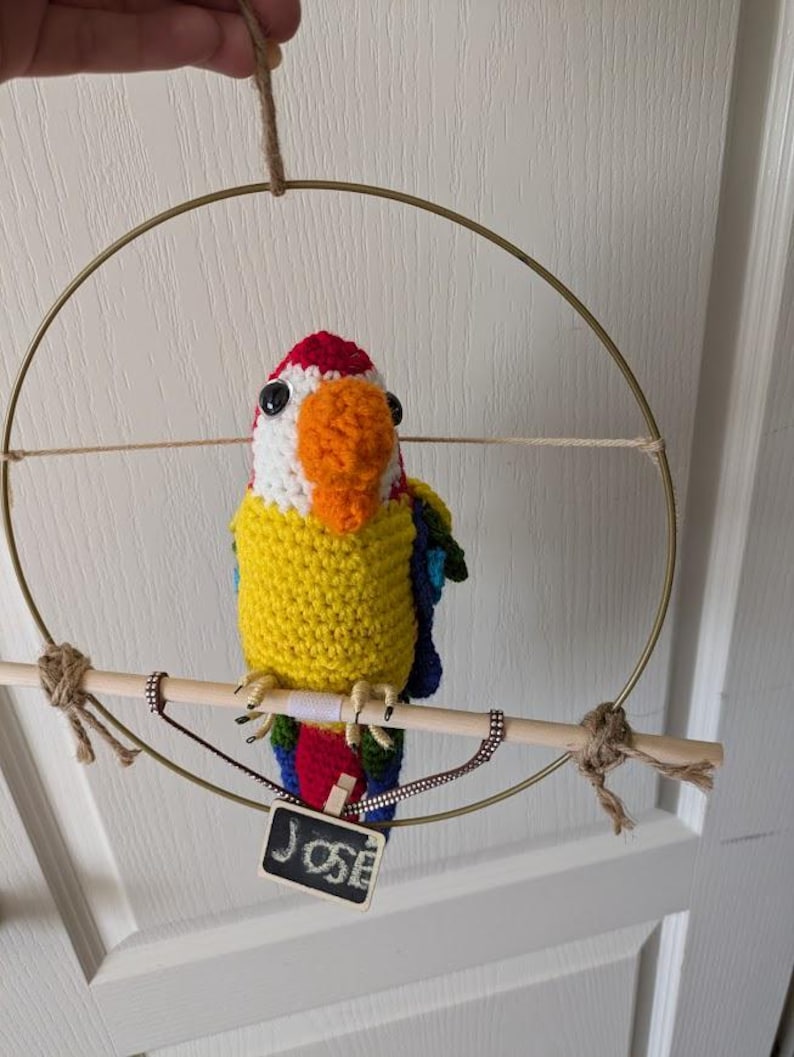 Scarlet Macaw Parrot Bird Cutie Crochet Kit - Etsy