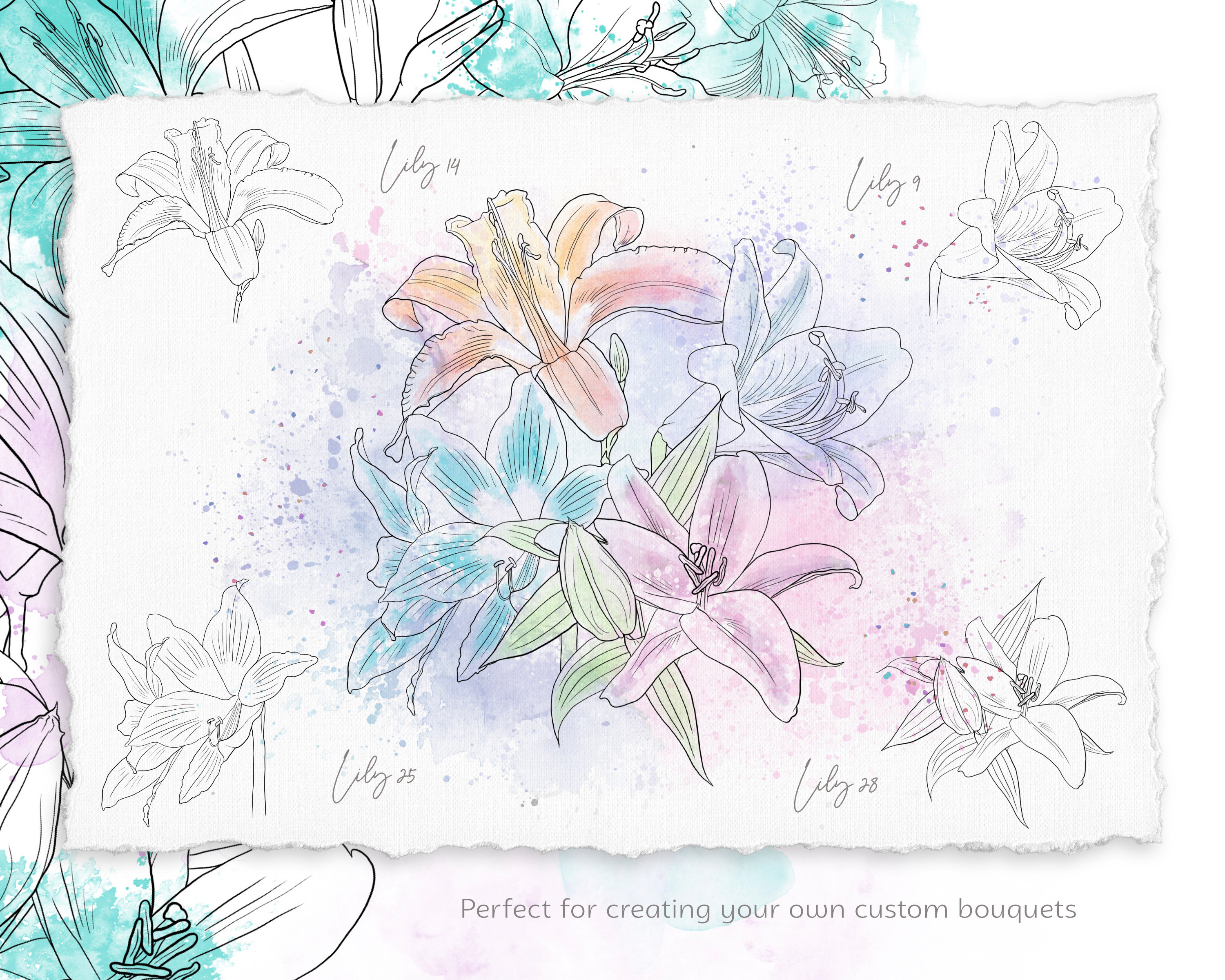 30 Hand-drawn Line-art Lily Stamp Brushes for Procreate | Botanical ...