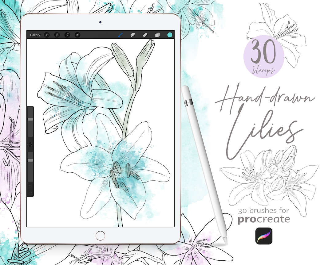 30 Hand-drawn Line-art Lily Stamp Brushes for Procreate | Botanical ...