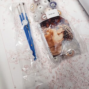 Paint by Numbers Kit / HER/DIY Painting Kit/ Home Décor/paint - Etsy