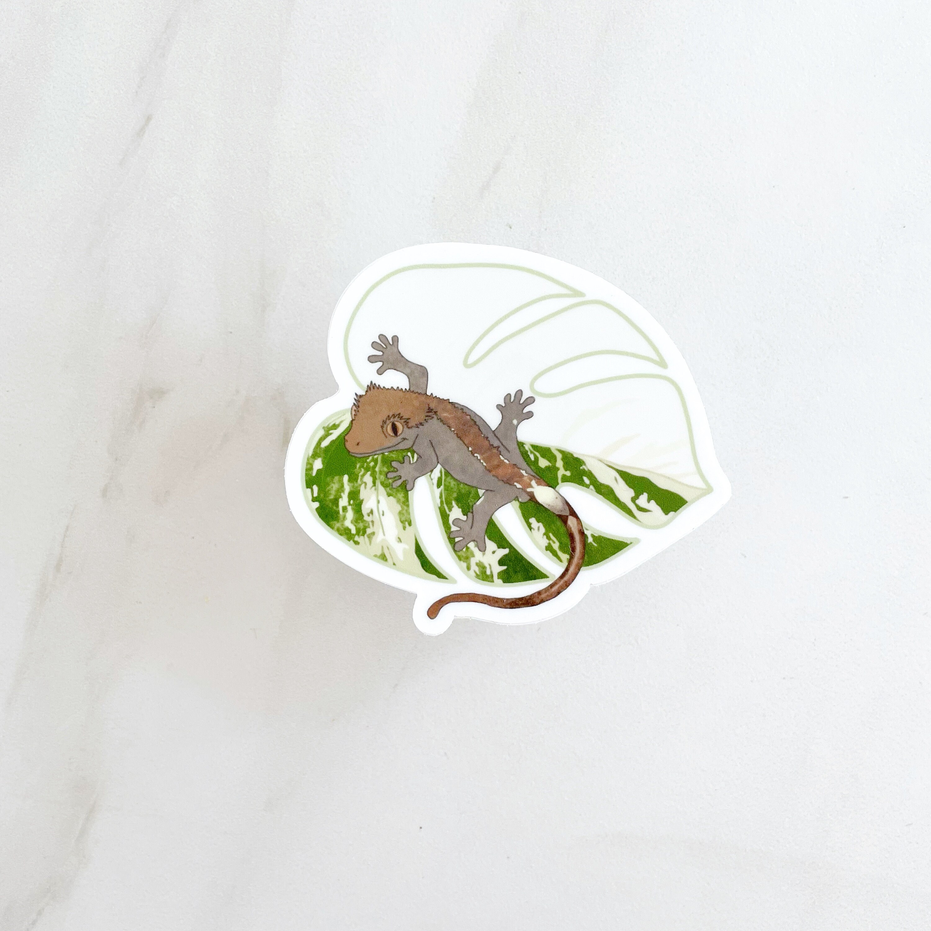 Crested gecko sticker monstera albo halfmoon sticker | Etsy