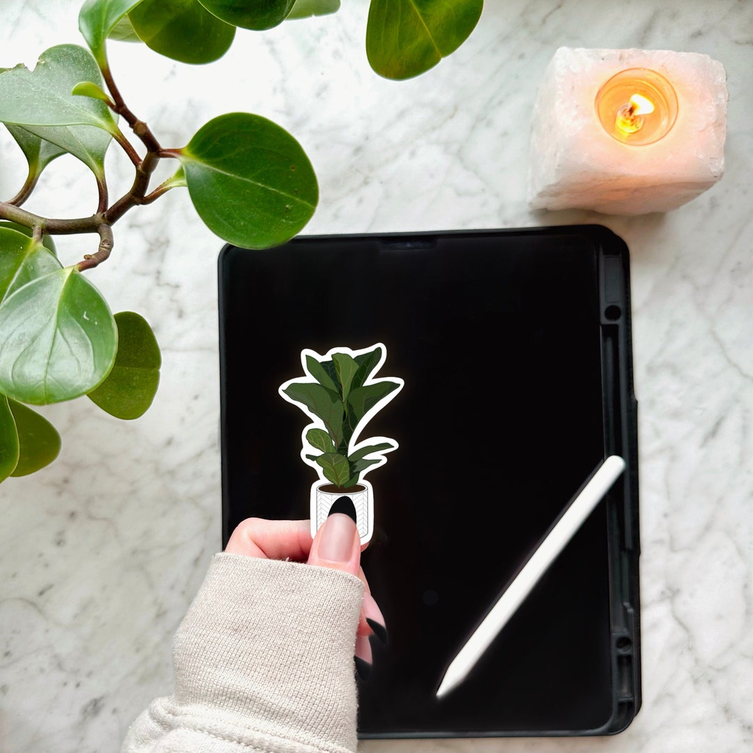 Dwarf Fiddle Leaf Fig Sticker, House Plant Sticker, Ficus Lyrata, Gift ...