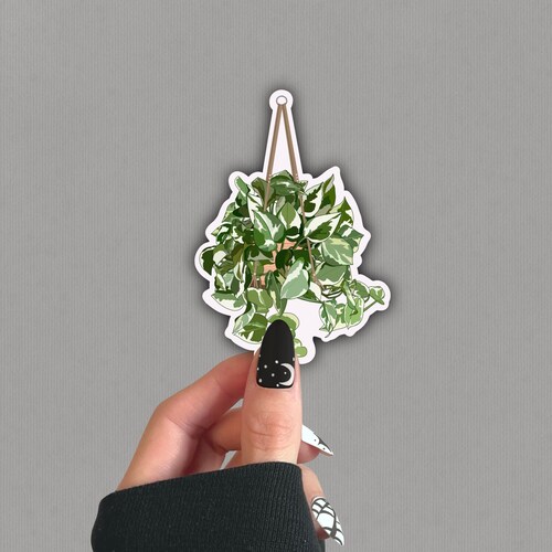 Hanging Plant Sticker - Etsy