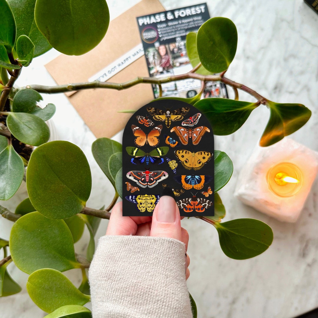 Moth Sticker, Death Head Hawk Moth, Cecropia Moth Cottagecore Sticker ...