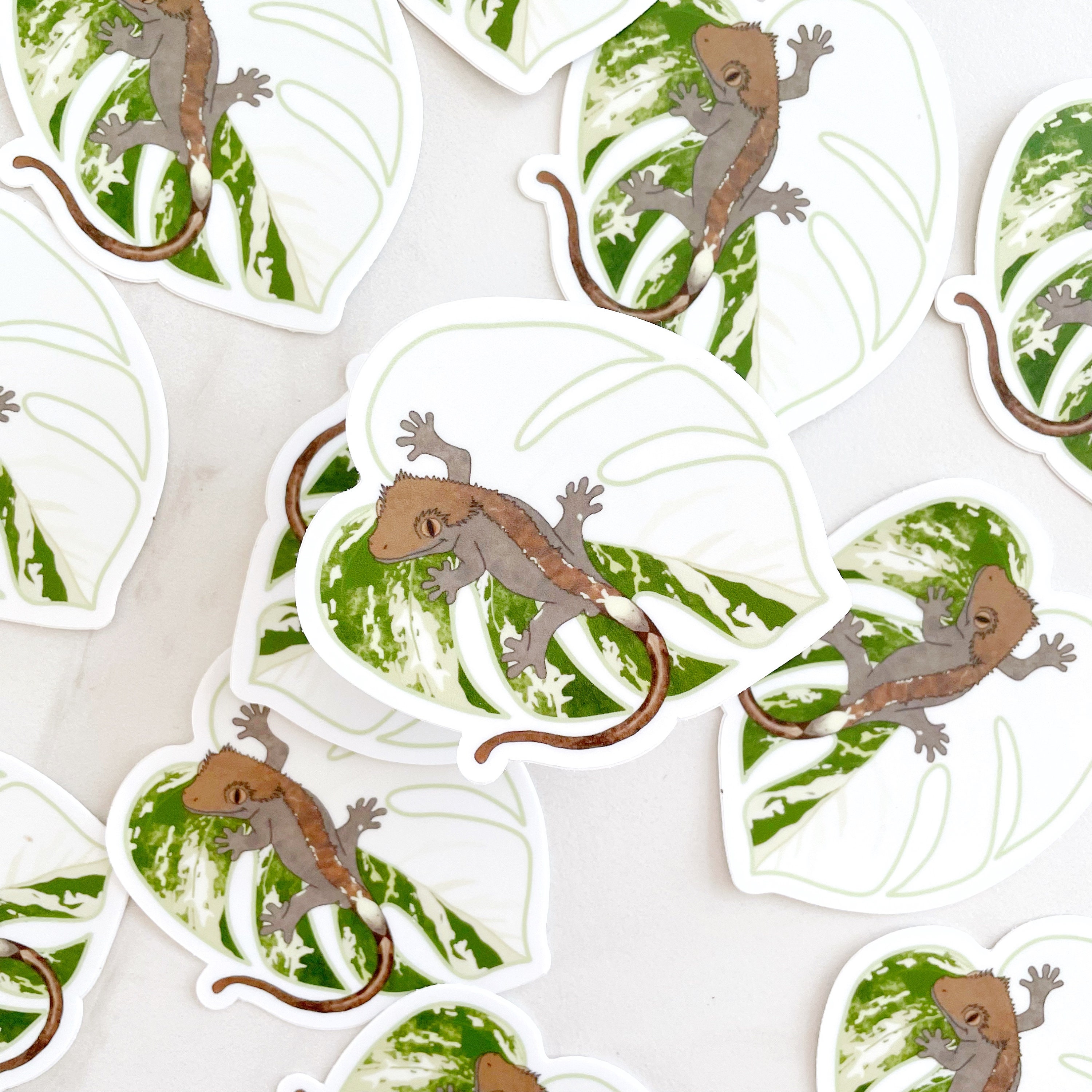 Crested gecko sticker monstera albo halfmoon sticker | Etsy