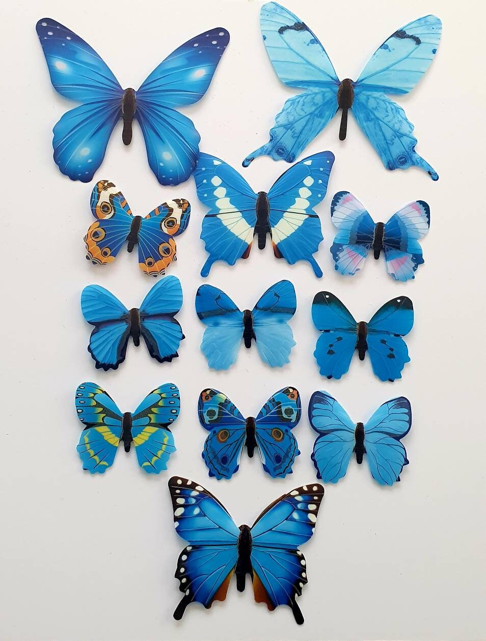 Blue Butterfly 12 pcs luminous Butterfly Wall Decor For Home | Etsy