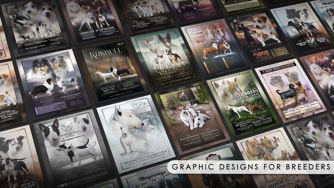Graphic Design for Breeder, Litter Announcement, Stud Dog Advertising ...
