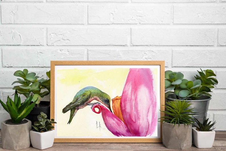 Hummingbird Art Print Watercolor Painting Hummingbird Drinking Flower ...