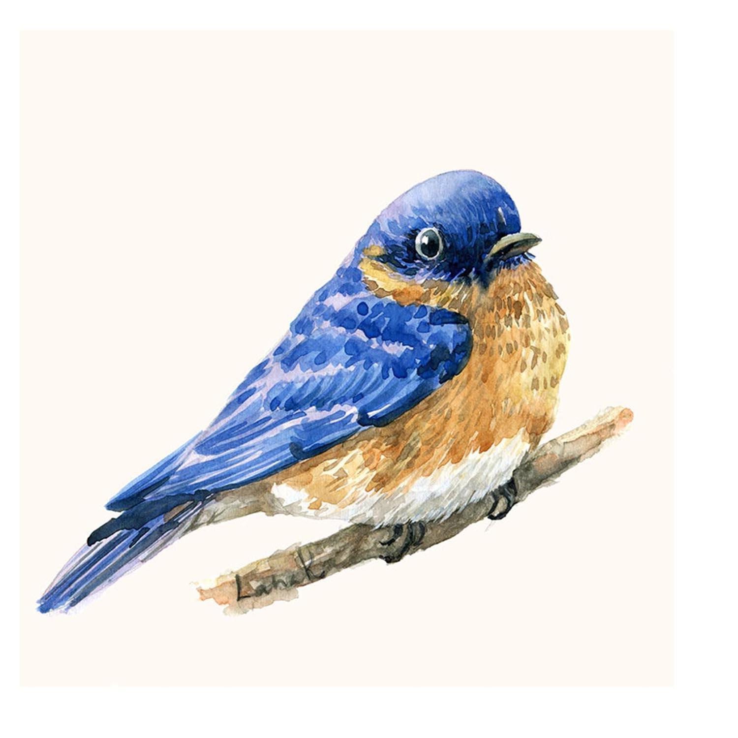 Bluebird Painting Watercolor Art Print Eastern Blue Bird on Branch ...