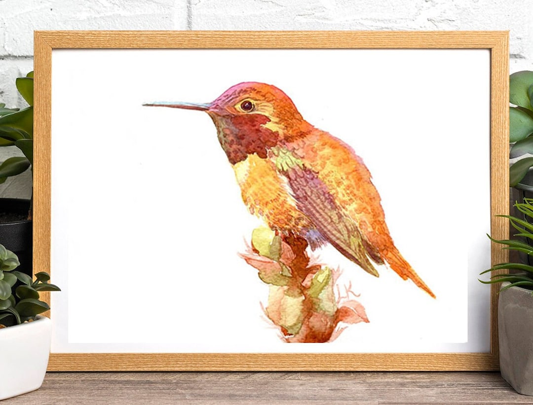 Hummingbird Print Watercolor Bird Illustration Wall Art Nursery Wall ...