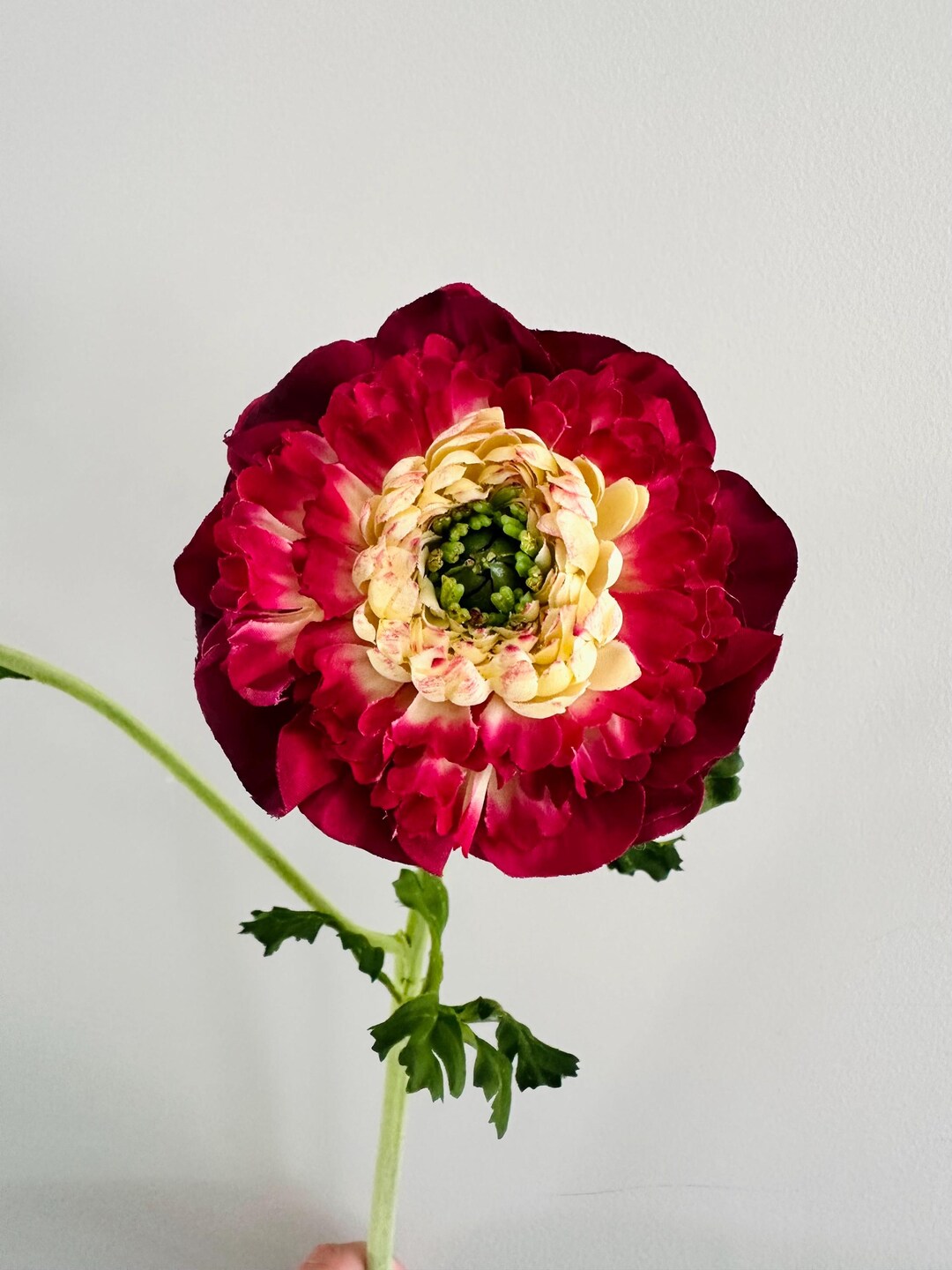 Luxury Faux Burgundy Ranunculus Stem With Bud | Realistic Silk Flower ...