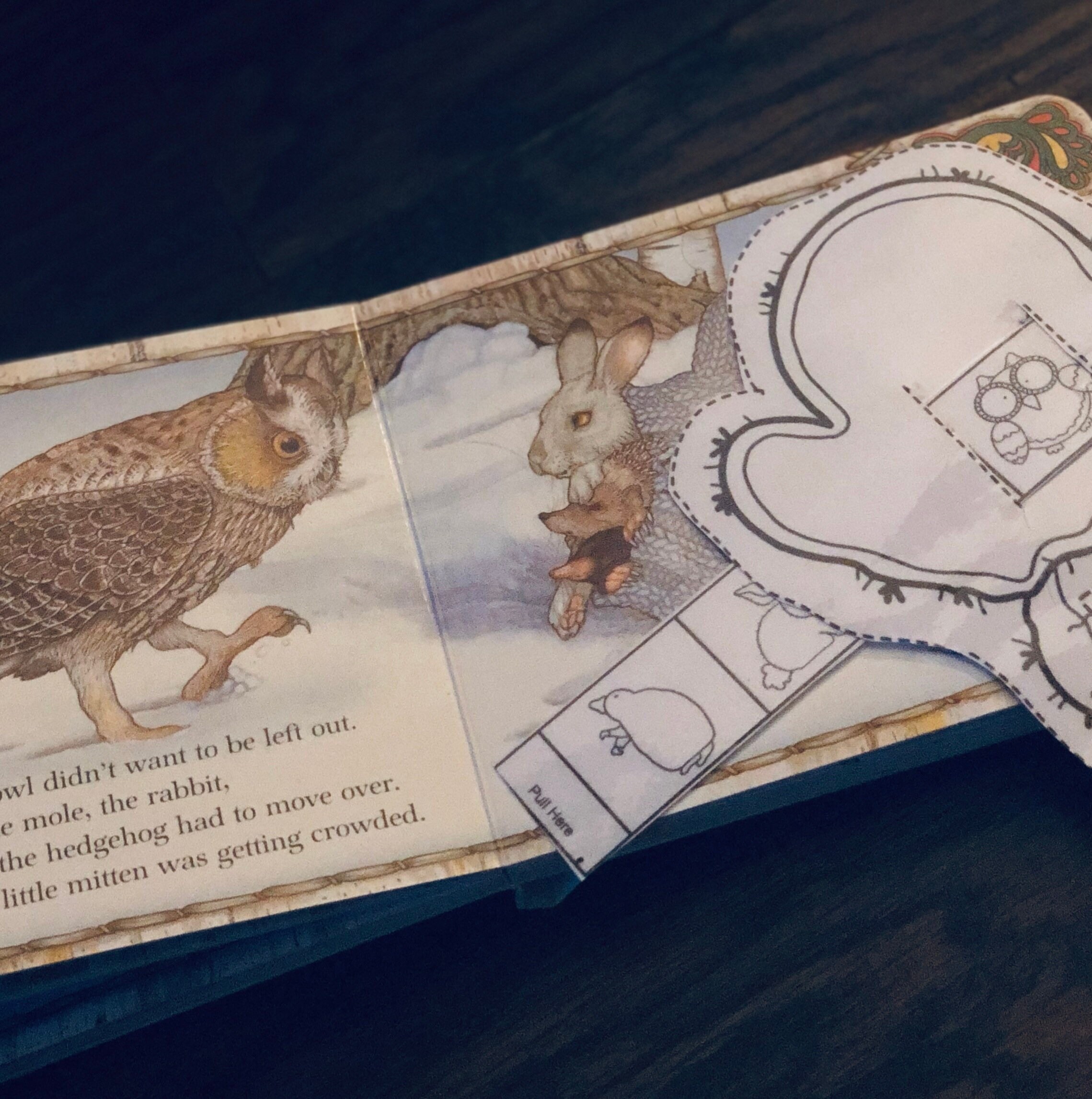 The Mitten Book Companion for Preschool and Kindergarten - Etsy