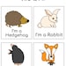 The Mitten Book Companion for Preschool and Kindergarten - Etsy