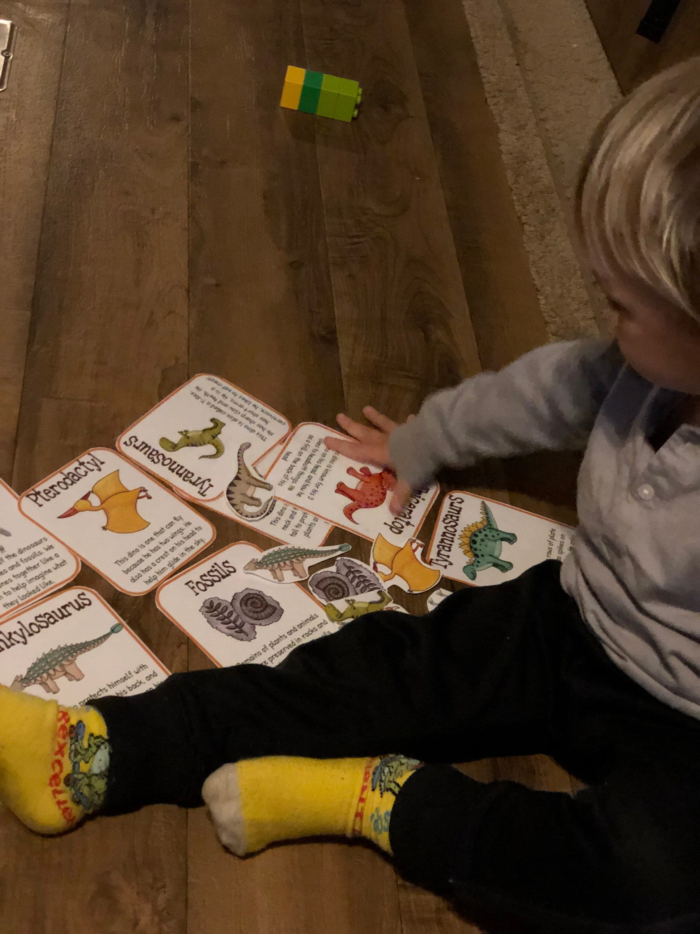 Dinosaur Fact Match Interactive Flashcards DIGITAL - Etsy