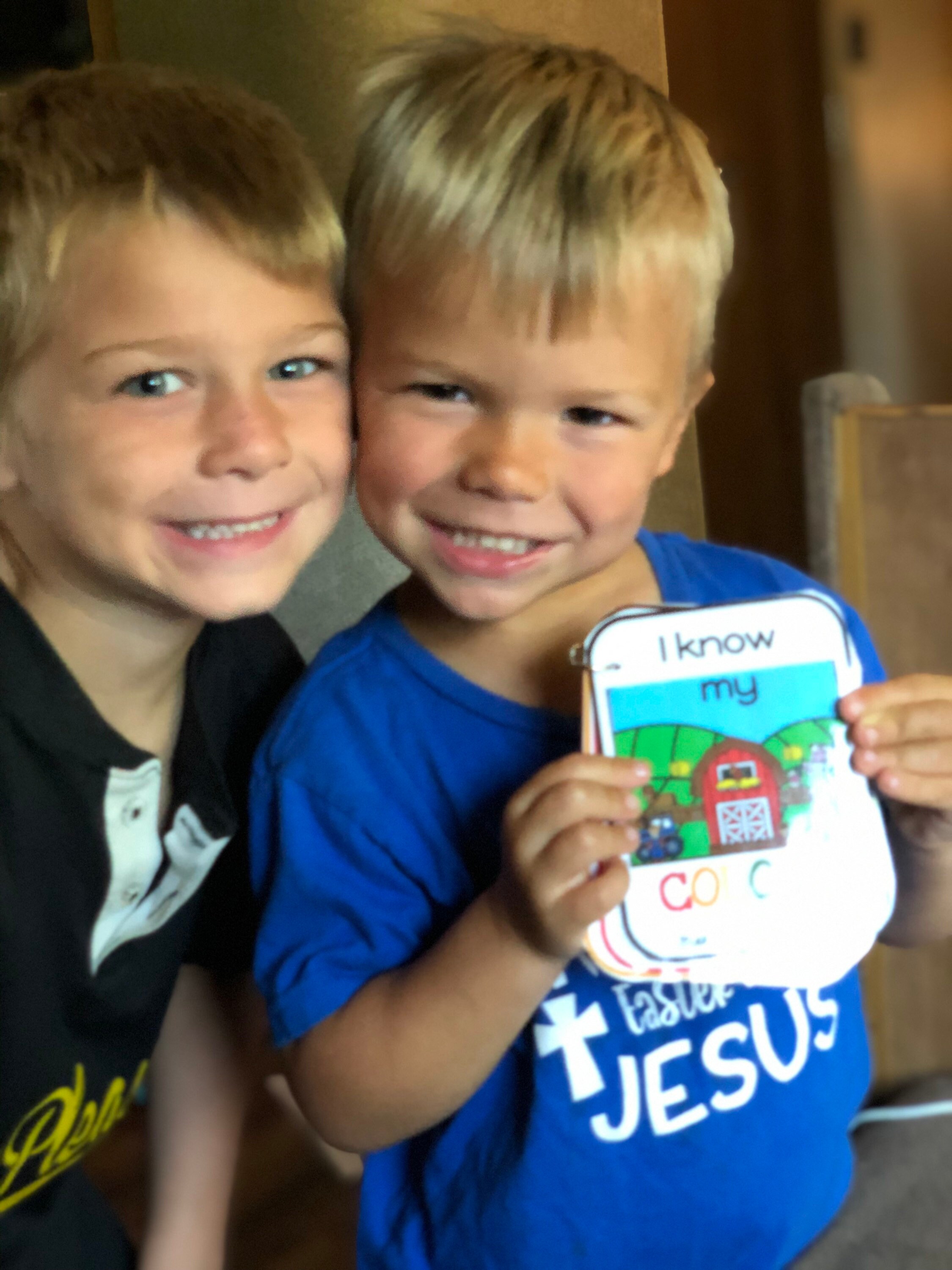 Farm Color Flashcards, Farm Animals, Buildings, and Tractors - Etsy