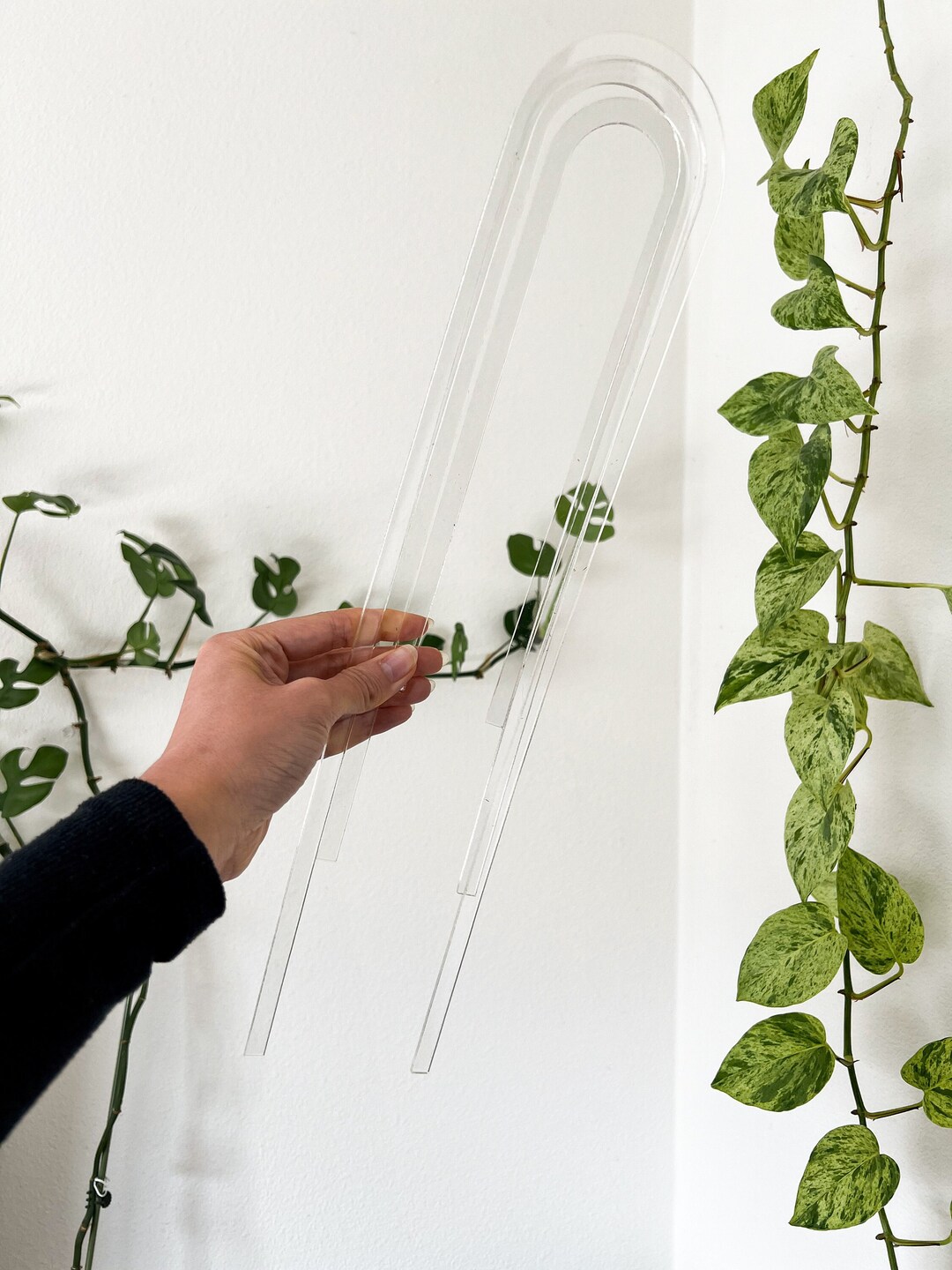 Tall Arch Acrylic Plant Trellis Set: Indoor Plant Support - Etsy