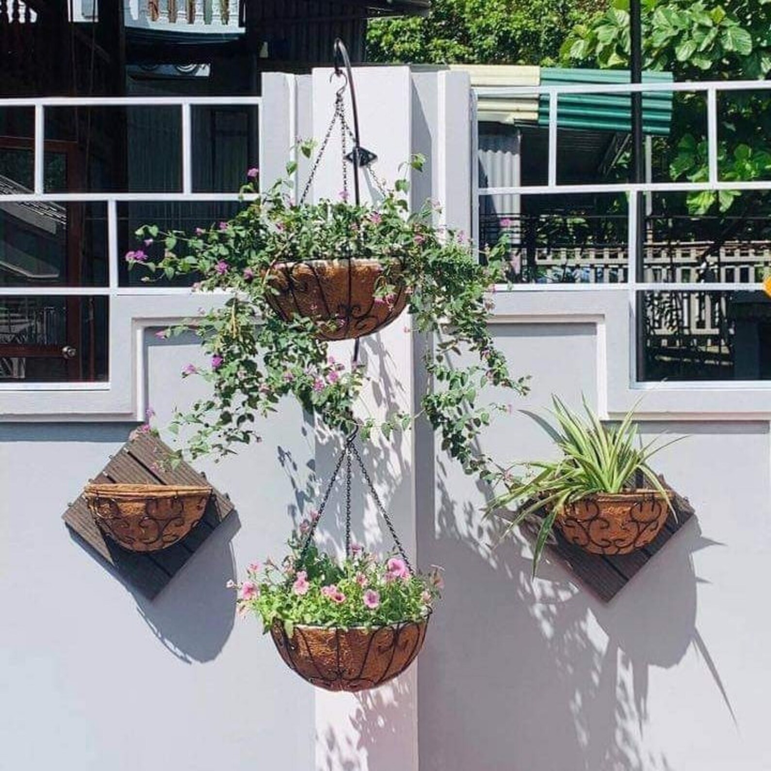 12 Hanging Basket Planter With Coconut Baskets, Metal Wire and Plant ...