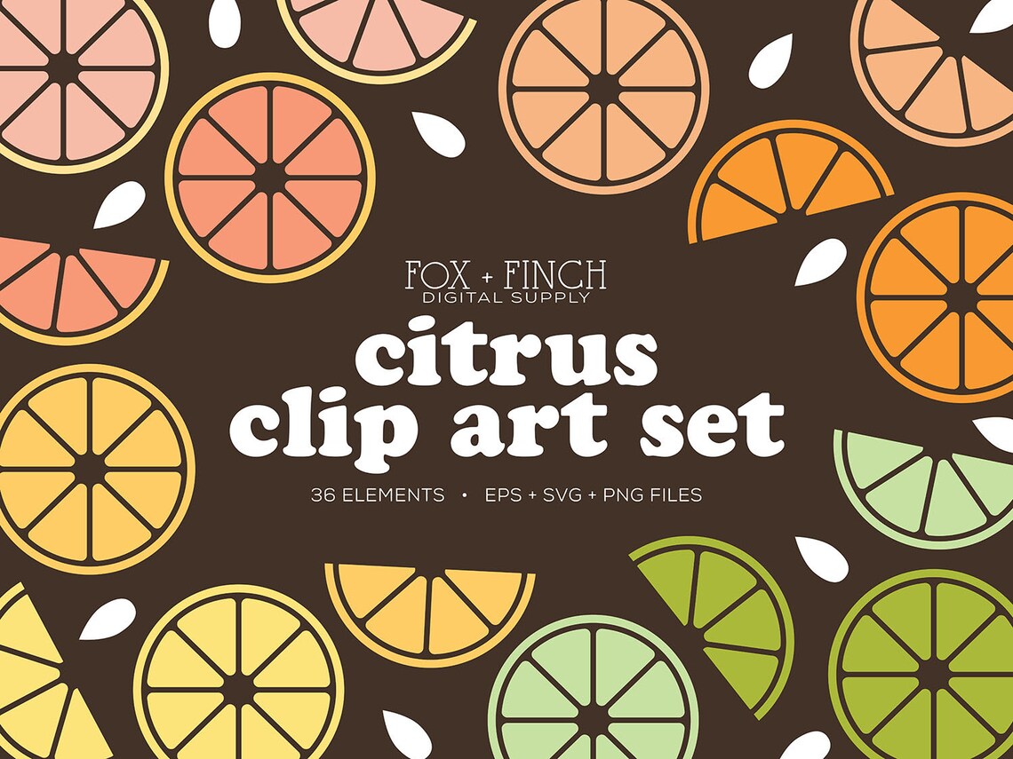 Citrus Clipart, Orange Slice SVG, Commercial Use Clip Art Set, Summer ...