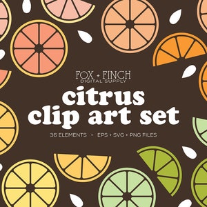 Citrus Clipart, Orange Slice SVG, Commercial Use Clip Art Set, Summer ...