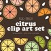 Citrus Clipart, Orange Slice SVG, Commercial Use Clip Art Set, Summer ...