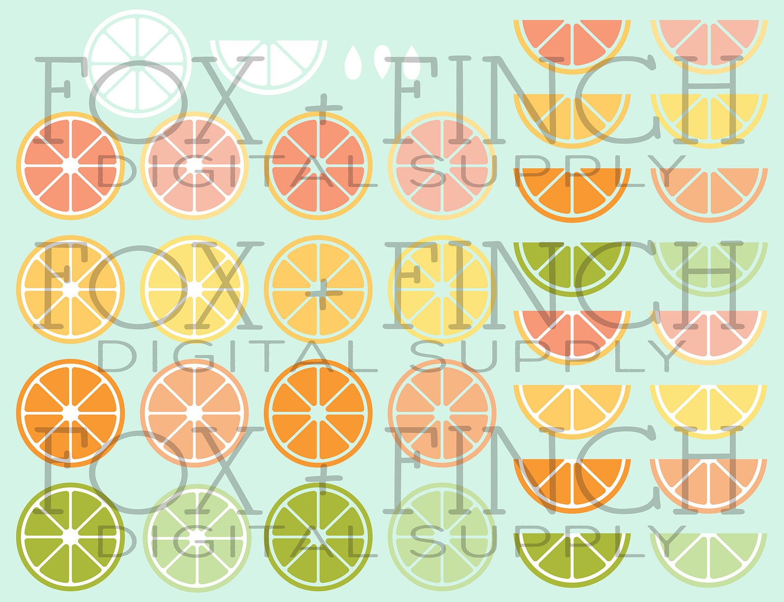 Citrus Clipart, Orange Slice SVG, Commercial Use Clip Art Set, Summer ...