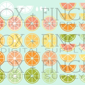 Citrus Clipart, Orange Slice SVG, Commercial Use Clip Art Set, Summer ...
