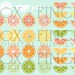 Citrus Clipart, Orange Slice SVG, Commercial Use Clip Art Set, Summer ...