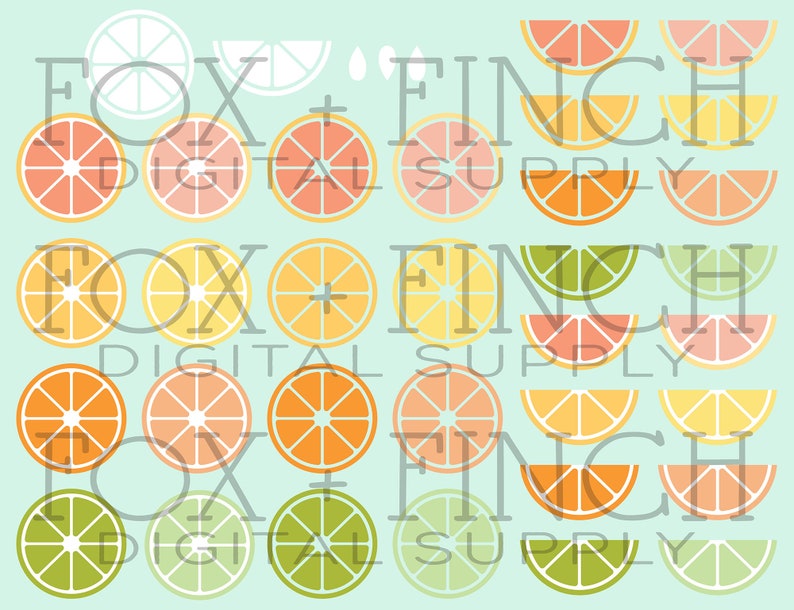 Citrus Clipart, Orange Slice SVG, Commercial Use Clip Art Set, Summer ...
