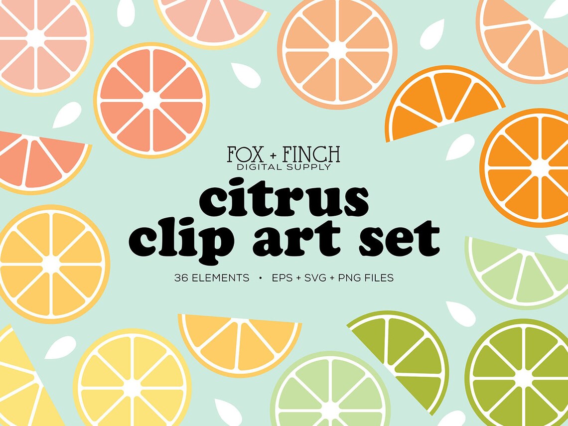 Citrus Clipart, Orange Slice SVG, Commercial Use Clip Art Set, Summer ...