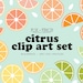 Citrus Clipart, Orange Slice SVG, Commercial Use Clip Art Set, Summer ...