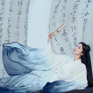 Hanfu Female Summer Wei Jin Style Ancient Costume Wide Sleeve - Etsy