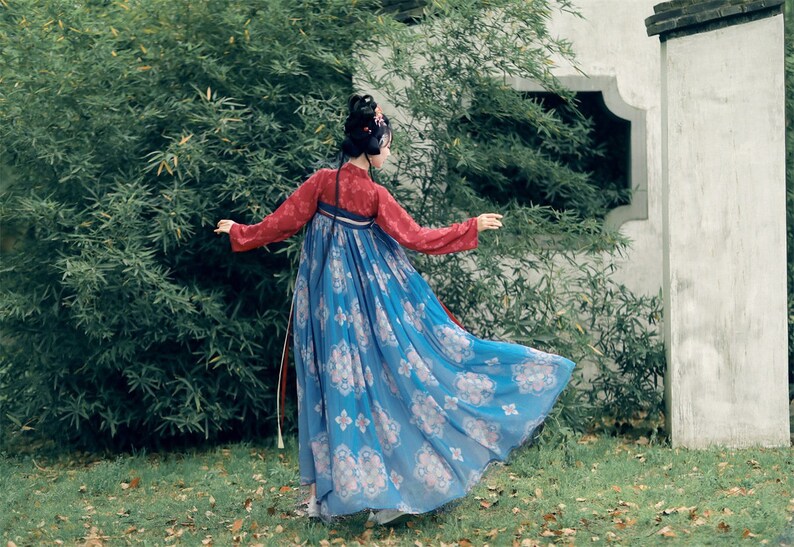 Chinese Classic Vintage Tang Dynasty Printed Chest-length - Etsy