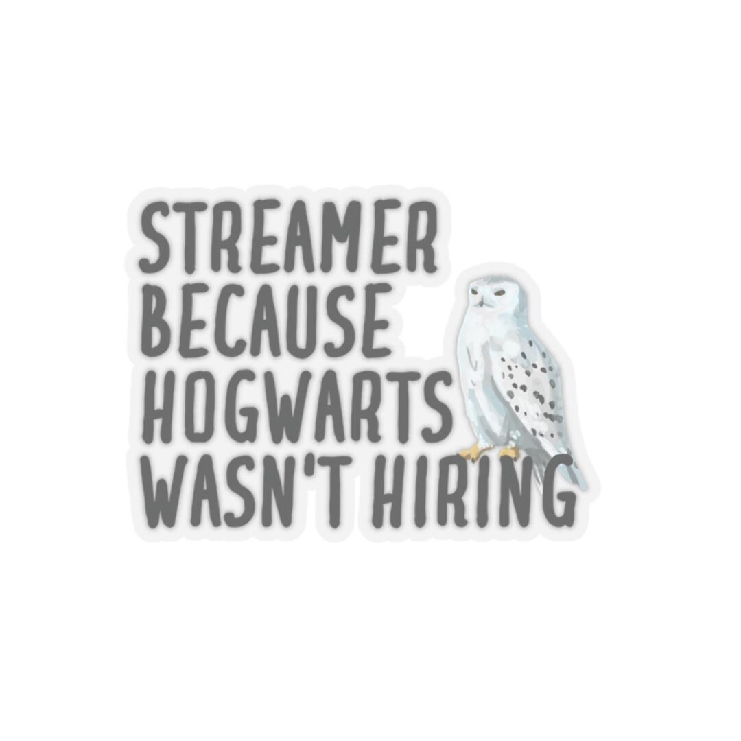 Streamer Sticker, Funny Streamer Gift, Sticker for Streamer, Streamer ...