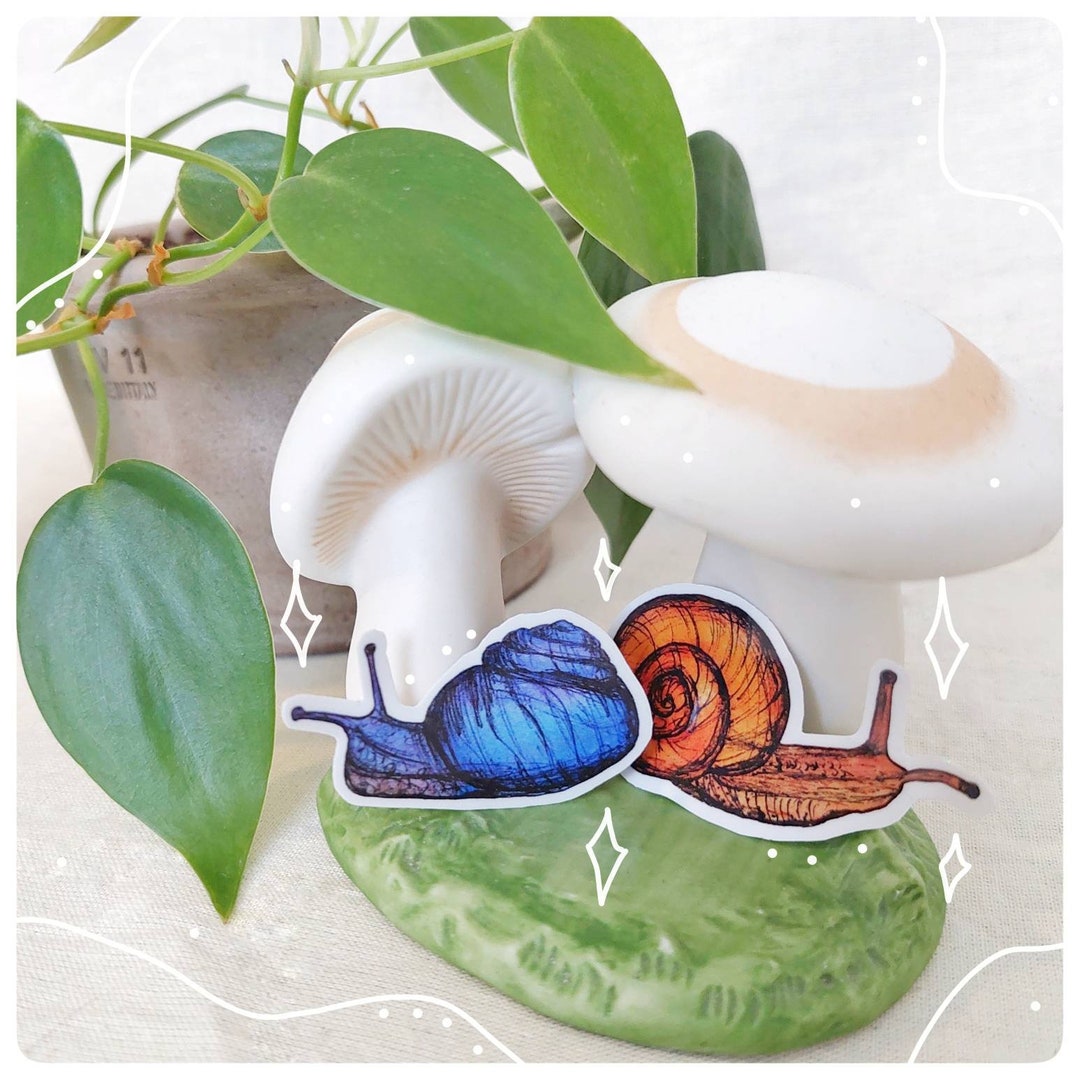 Snail Vinyl Sticker Pack (laptop, Phone, Water Bottle, Binder Stickers ...