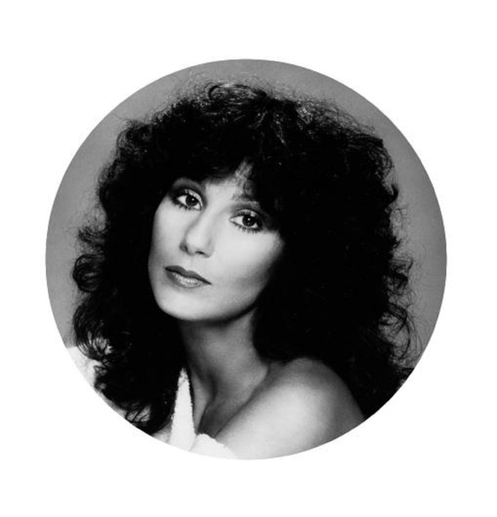 Cher, Sonny and Cher, Water Bottle Sticker, Computer Stickers, MacBook ...