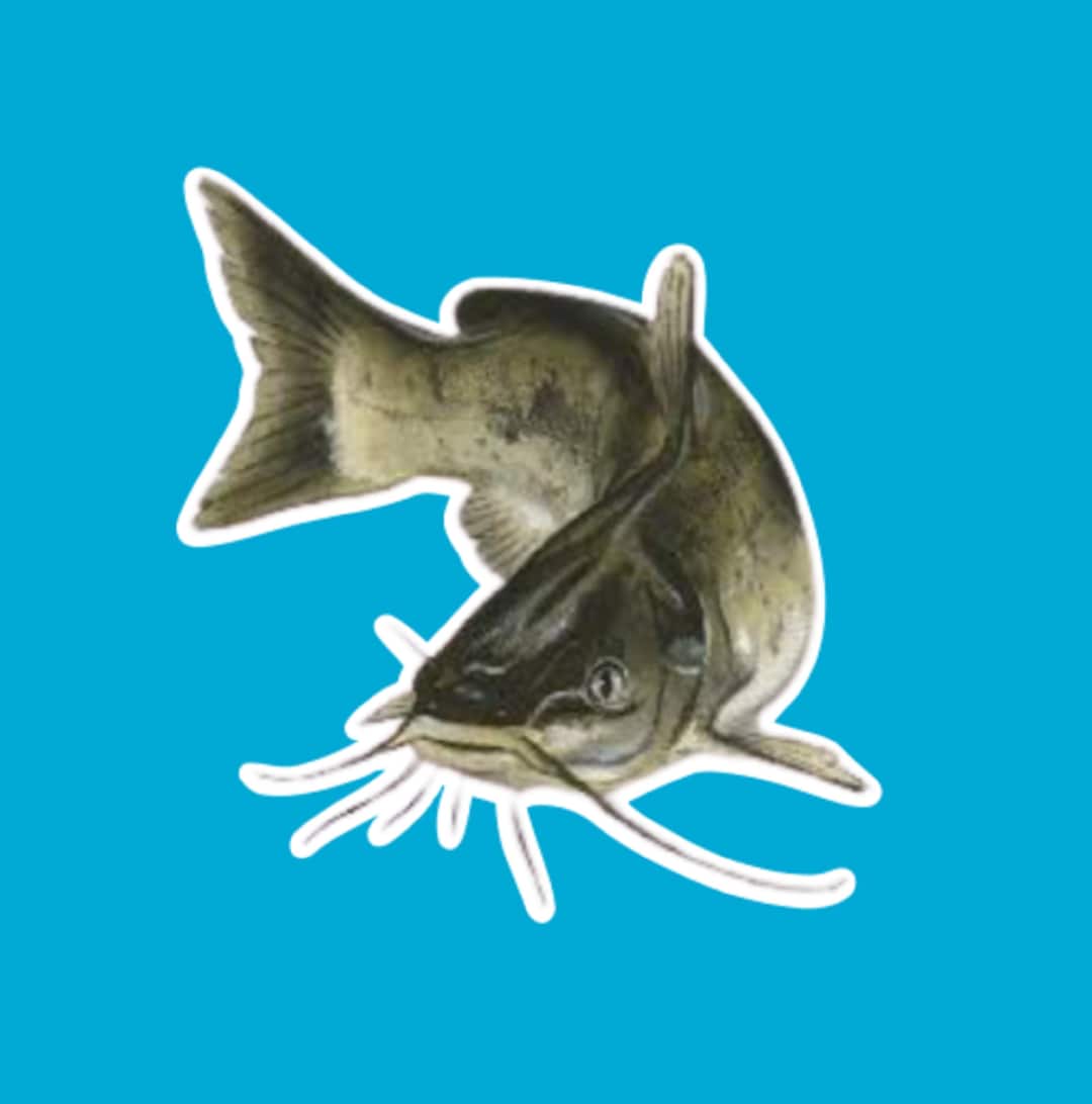 Catfish Funny Stickers, Laptop Stickers, Water Bottle Stickers, Tumbler ...