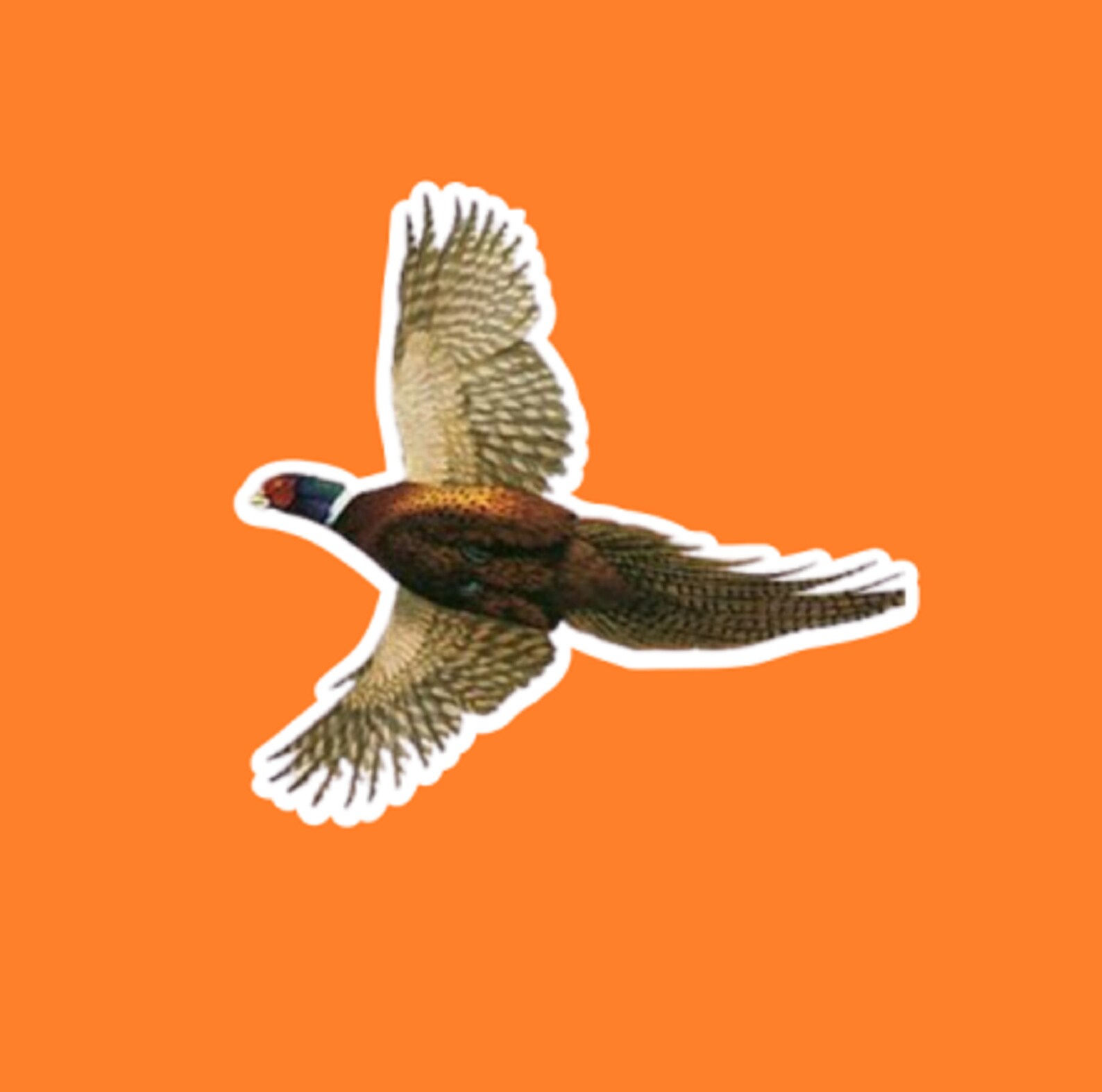 Pheasant Hunting Funny Stickers Laptop Stickers Water Bottle - Etsy