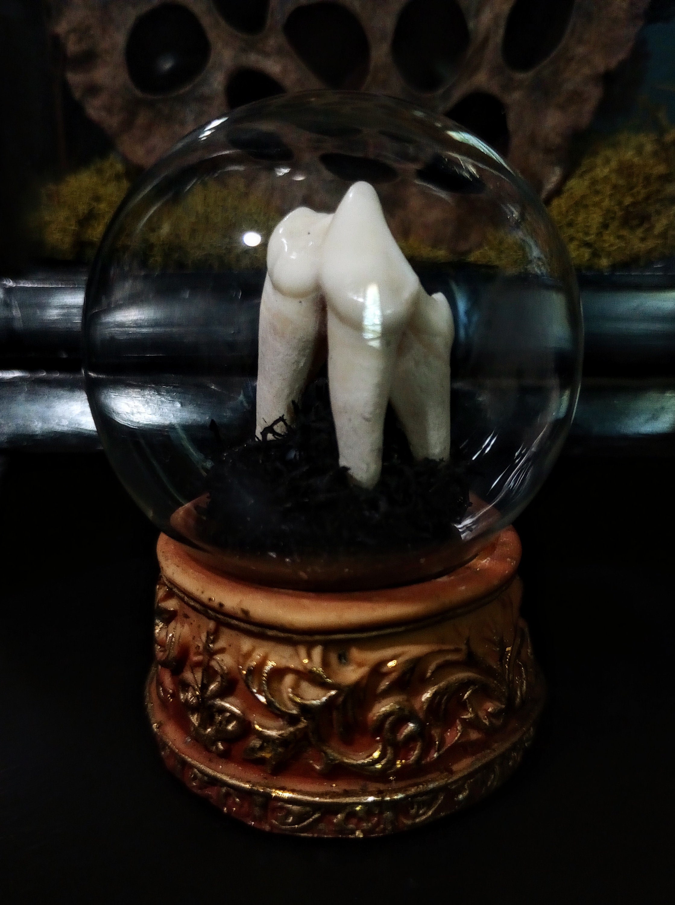 Mini Tooth Globe Bone Art Oddities and Curiosities - Etsy