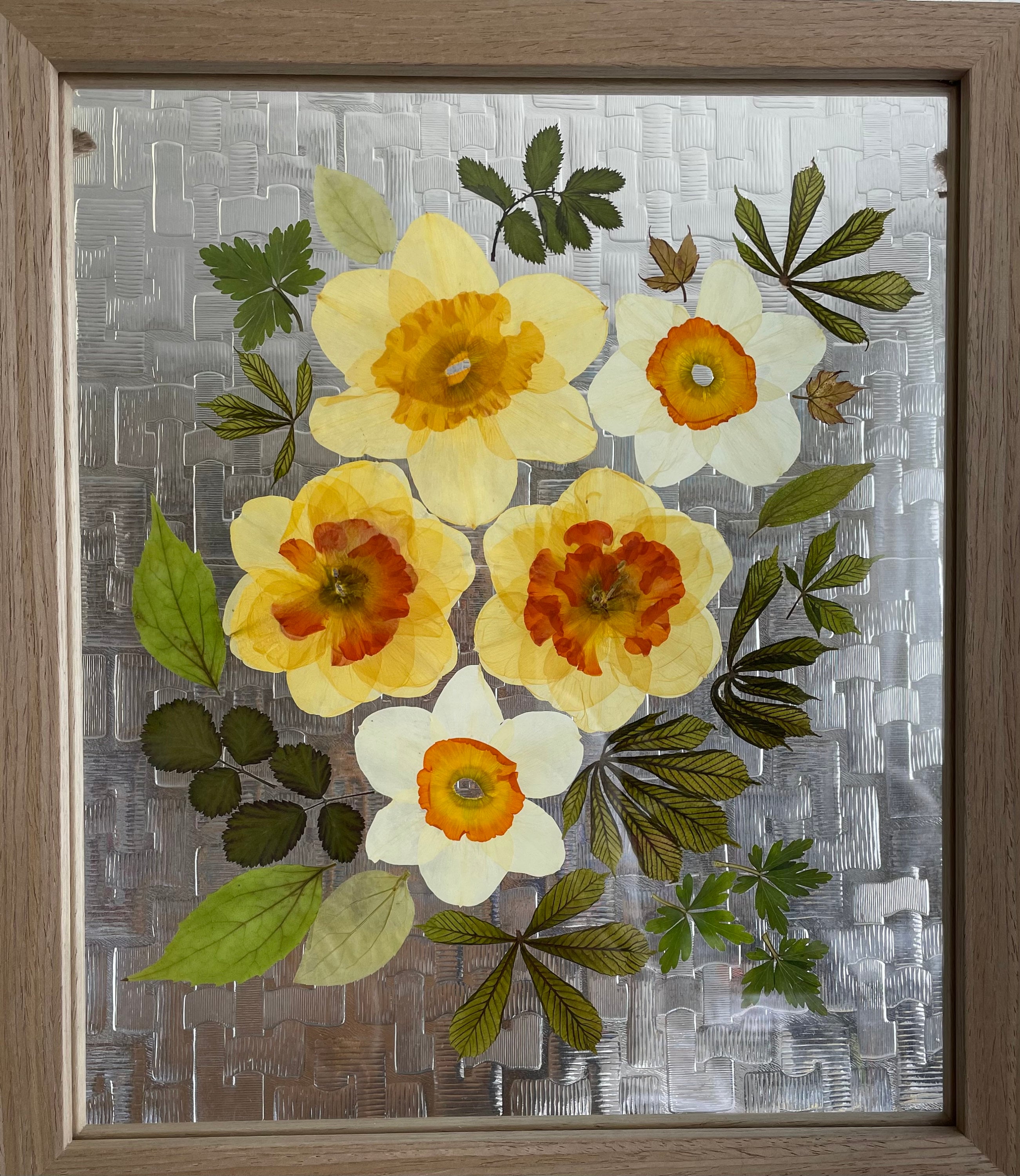 Daffodil Real Dried Flower/pressed Flower Framed/ Floral - Etsy