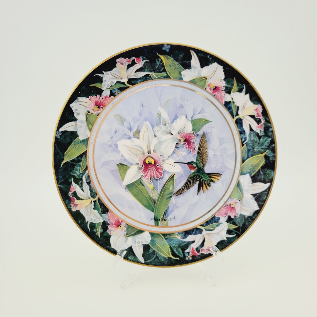 Royal Doulton Hummingbird Plate, White Bellied Woodstars Hummingbird ...