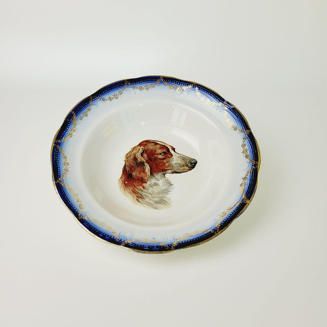 Antique Springer Spaniel Dog Portrait Porcelain Bowl, Blue & White With ...