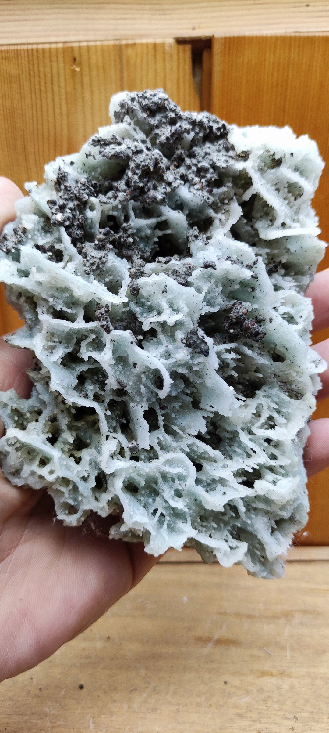 Coral Chalcedony - Etsy