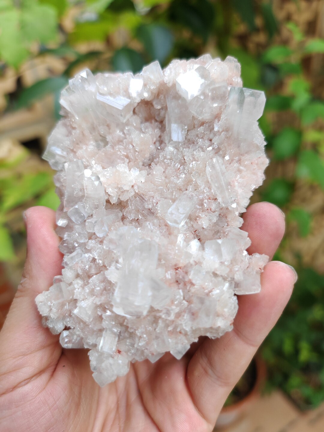 Pink Apophyllite, Cubes on Matrix With Stilbite and Brilliant ...