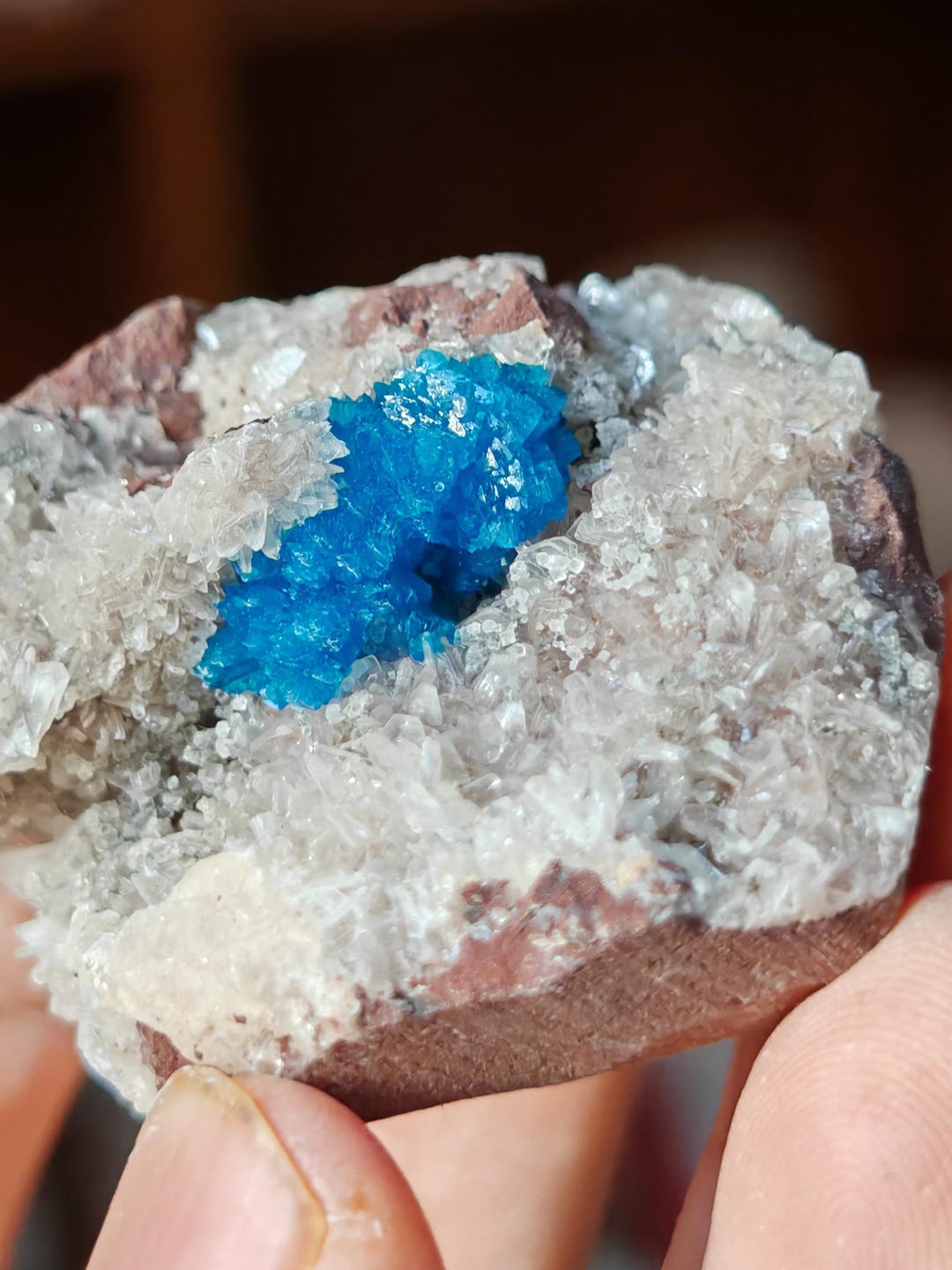 Large Cavansite Crystal on Matrix - Etsy