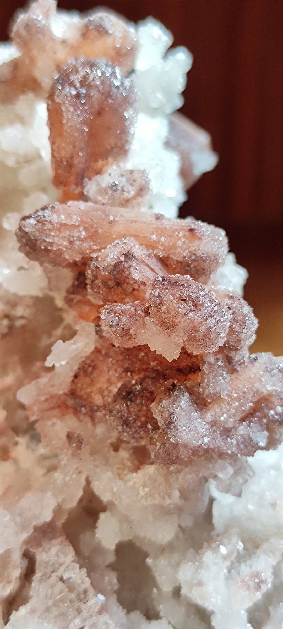 Chalcedony Coral With Brown Stilbita - Etsy